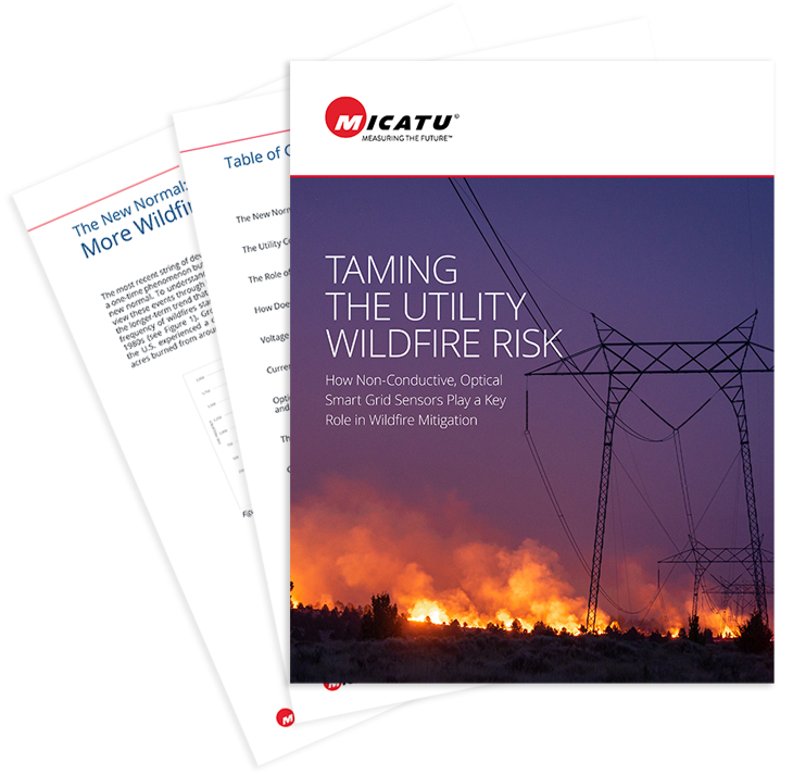 Wildfire Mitigation | Whitepaper